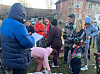 Passerte grensene utan problem